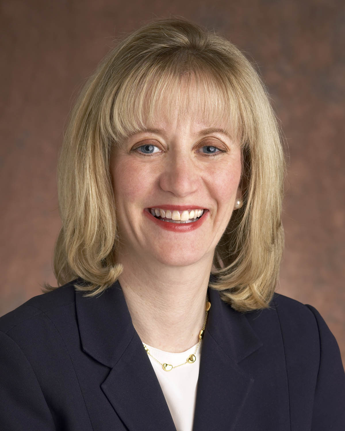 Lori G Levin Attorney At Law American Courthouse